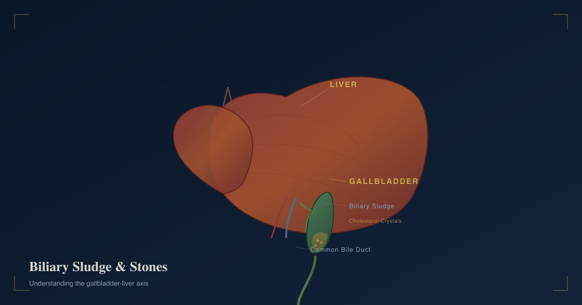 The Sluggish Gallbladder: Understanding, Preventing, and Reversing ...